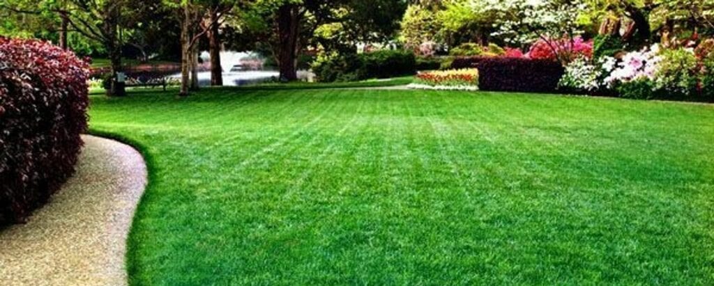 Plan 4 | Lawn Treatment Plan by Emerald Yards